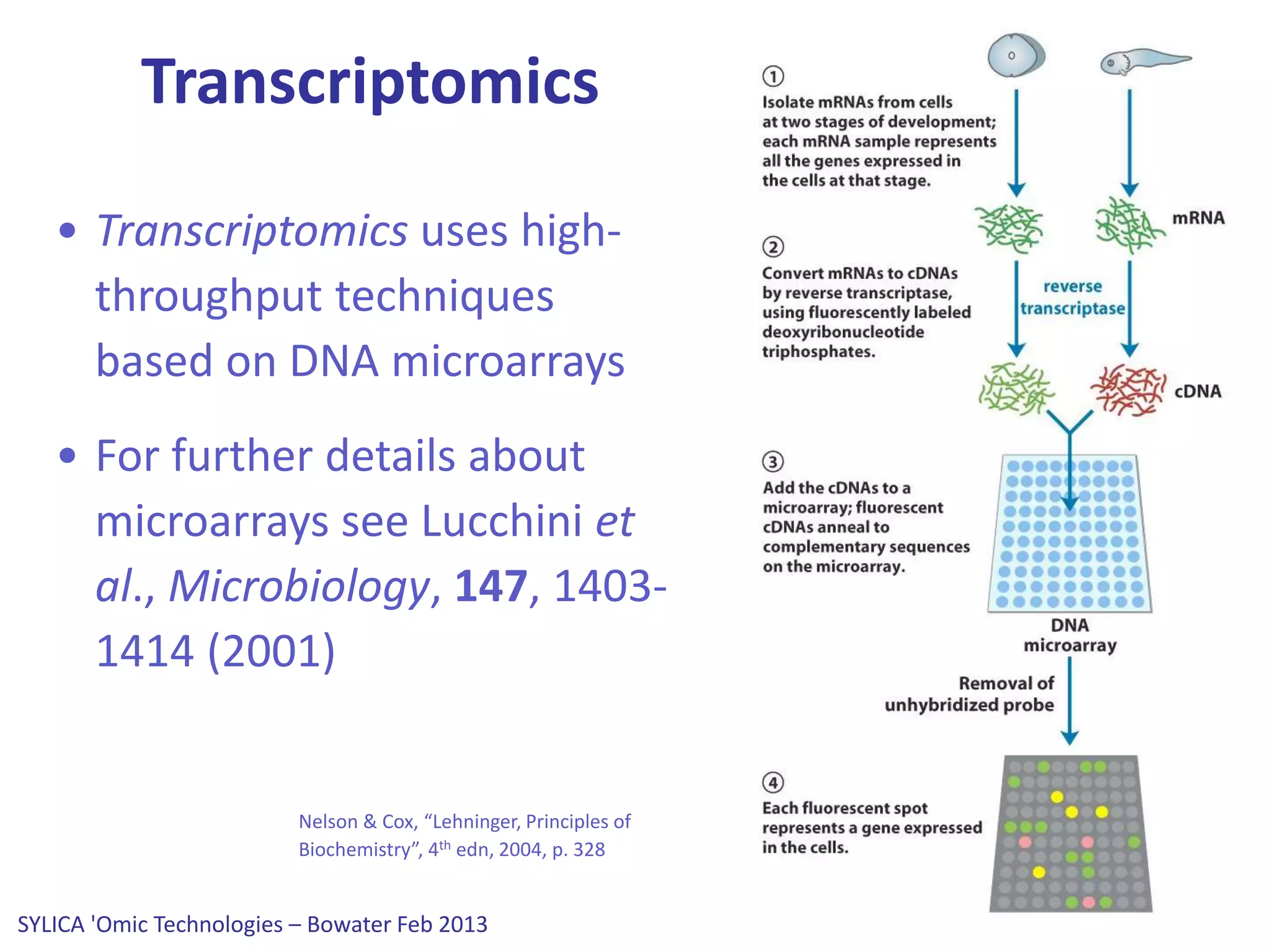 Brno_2013_Omic_technologies (1).ppt