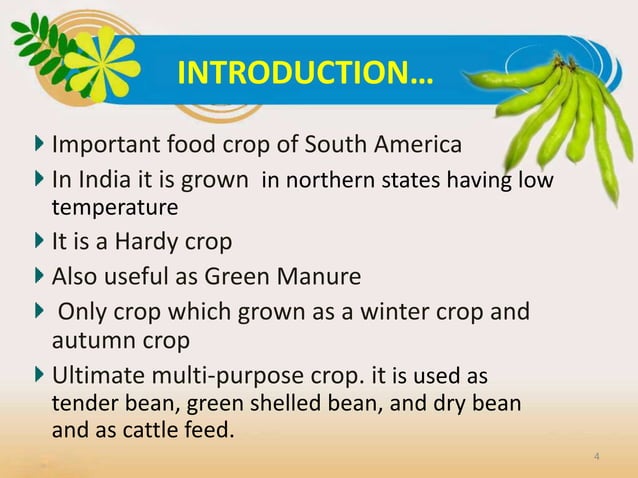 Broad bean by harmanjeet | PPTX