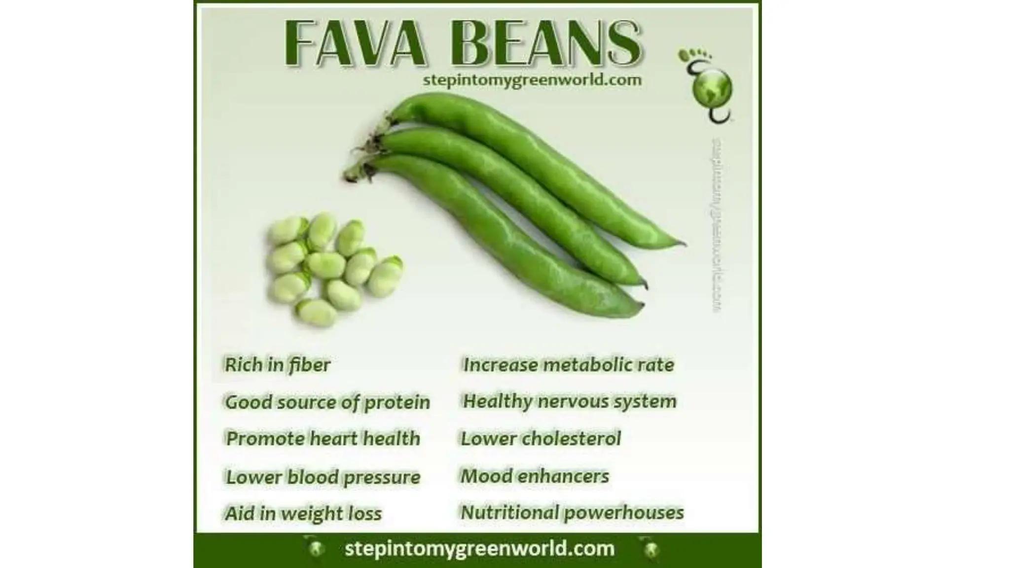 Broad bean, Lima Bean, Jack bean, Ullucus.pptx