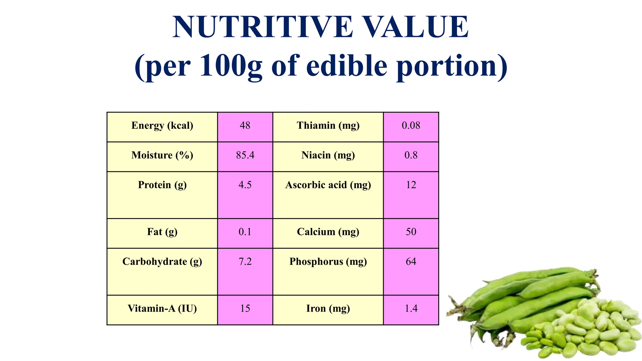 Broad bean, Lima Bean, Jack bean, Ullucus.pptx