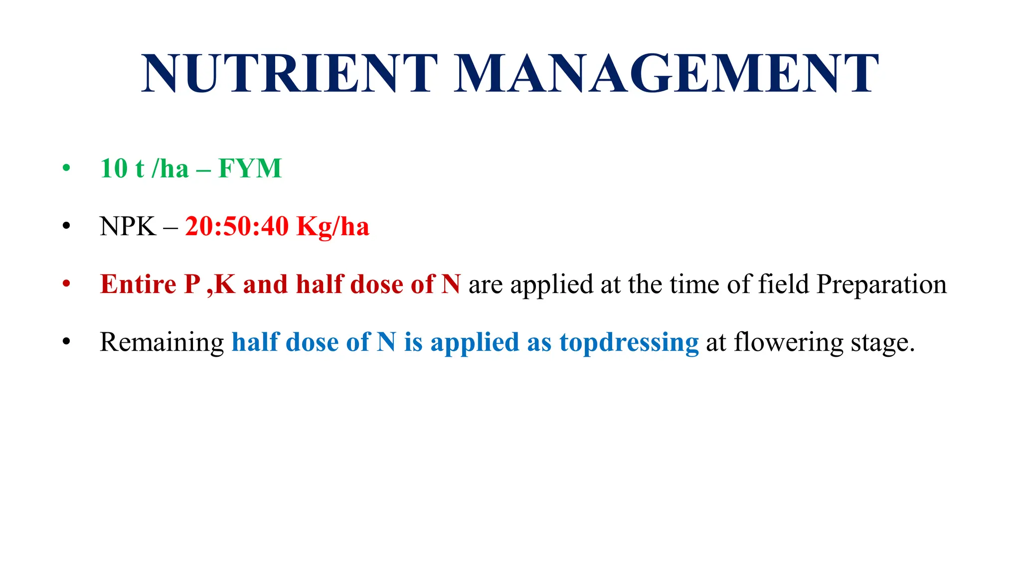 Broad bean, Lima Bean, Jack bean, Ullucus.pptx