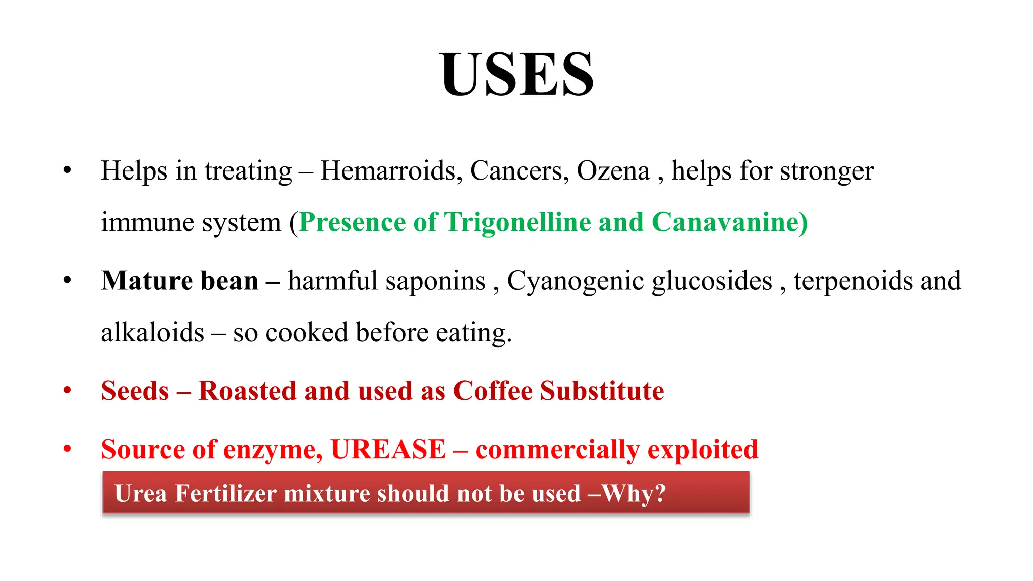 Broad bean, Lima Bean, Jack bean, Ullucus.pptx