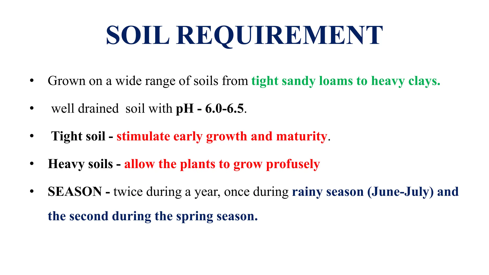 Broad bean, Lima Bean, Jack bean, Ullucus.pptx