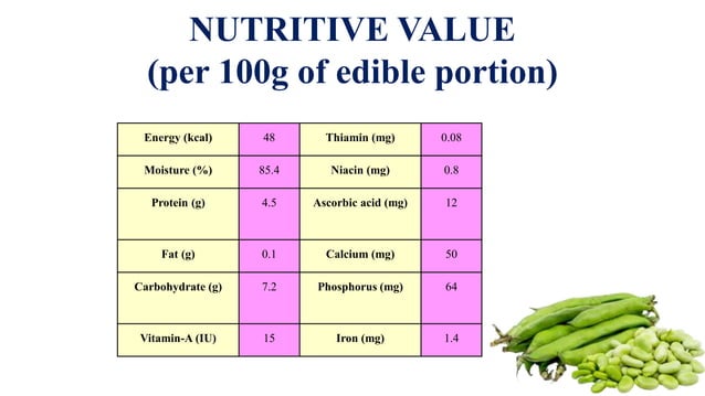 Broad bean, Lima Bean, Jack bean, Ullucus.pptx