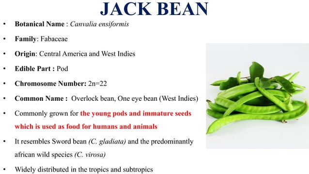 Broad bean, Lima Bean, Jack bean, Ullucus.pptx