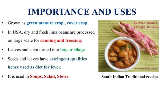 Broad bean, Lima Bean, Jack bean, Ullucus.pptx