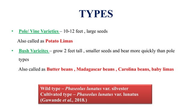 Broad bean, Lima Bean, Jack bean, Ullucus.pptx