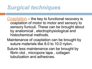 Broad frame work of management in peripheral nerve | PPTX | First Aid ...