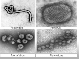 Broad Spectrum A | PPT