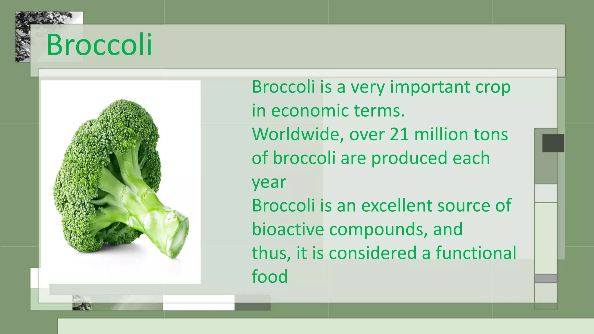 Broccoli Products | PPT