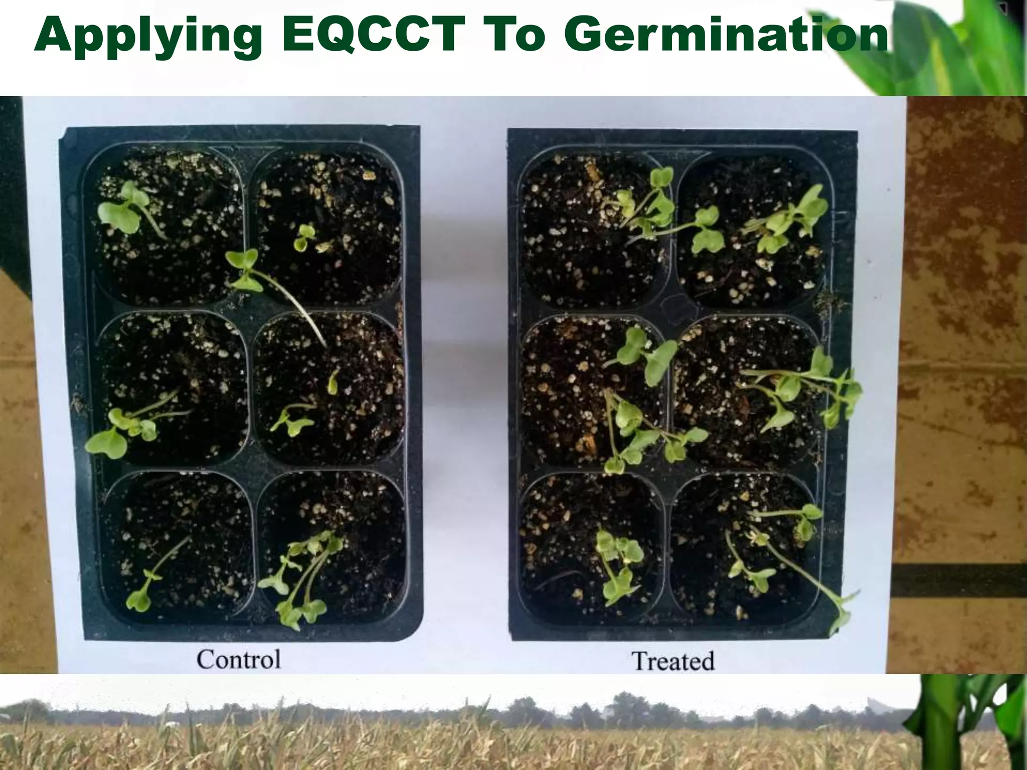 How to improve germination testing | PPSX