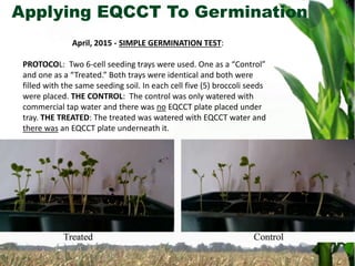How to improve germination testing | PPSX