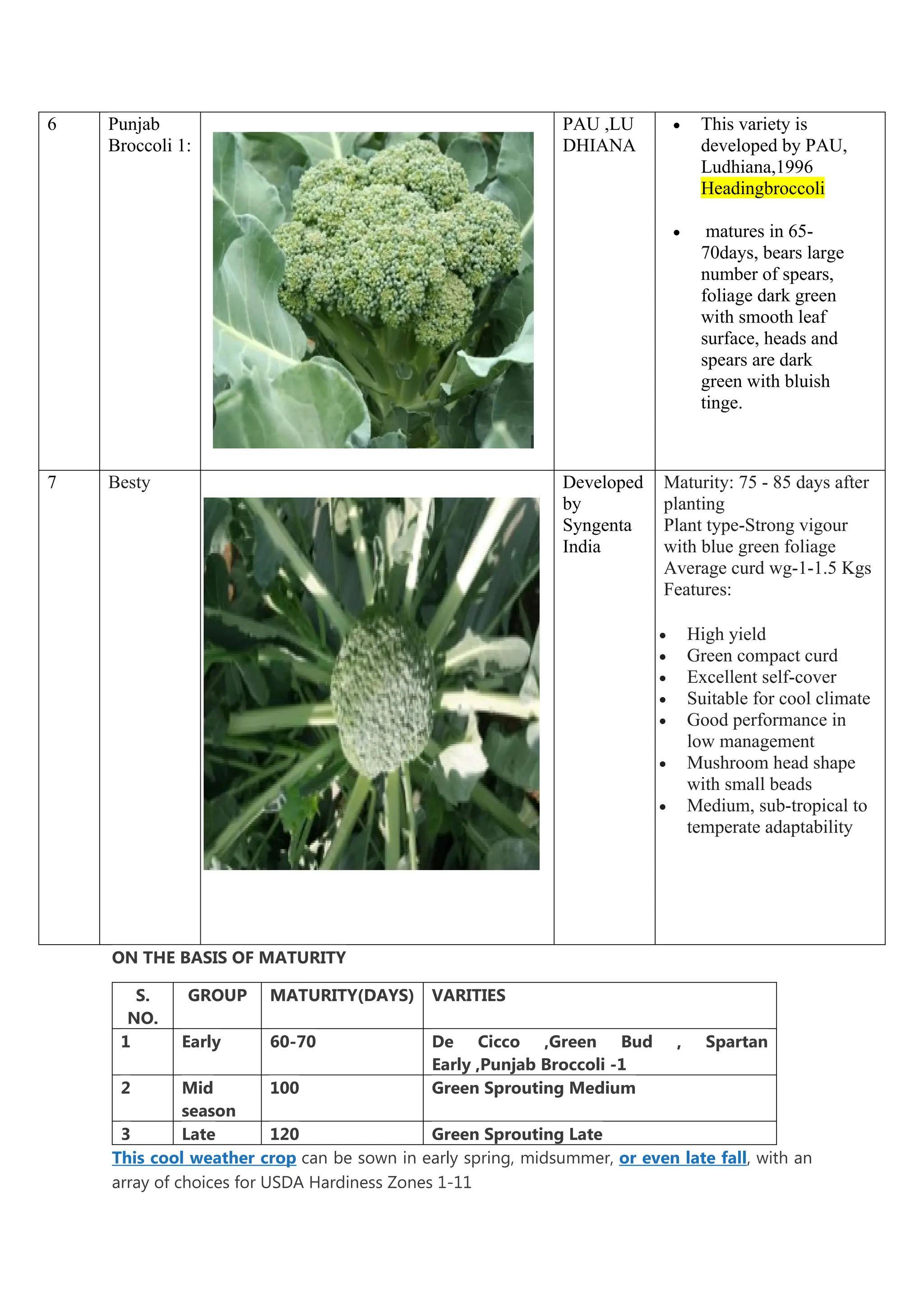 List of commercial varieties of varieties of broccoli | DOCX