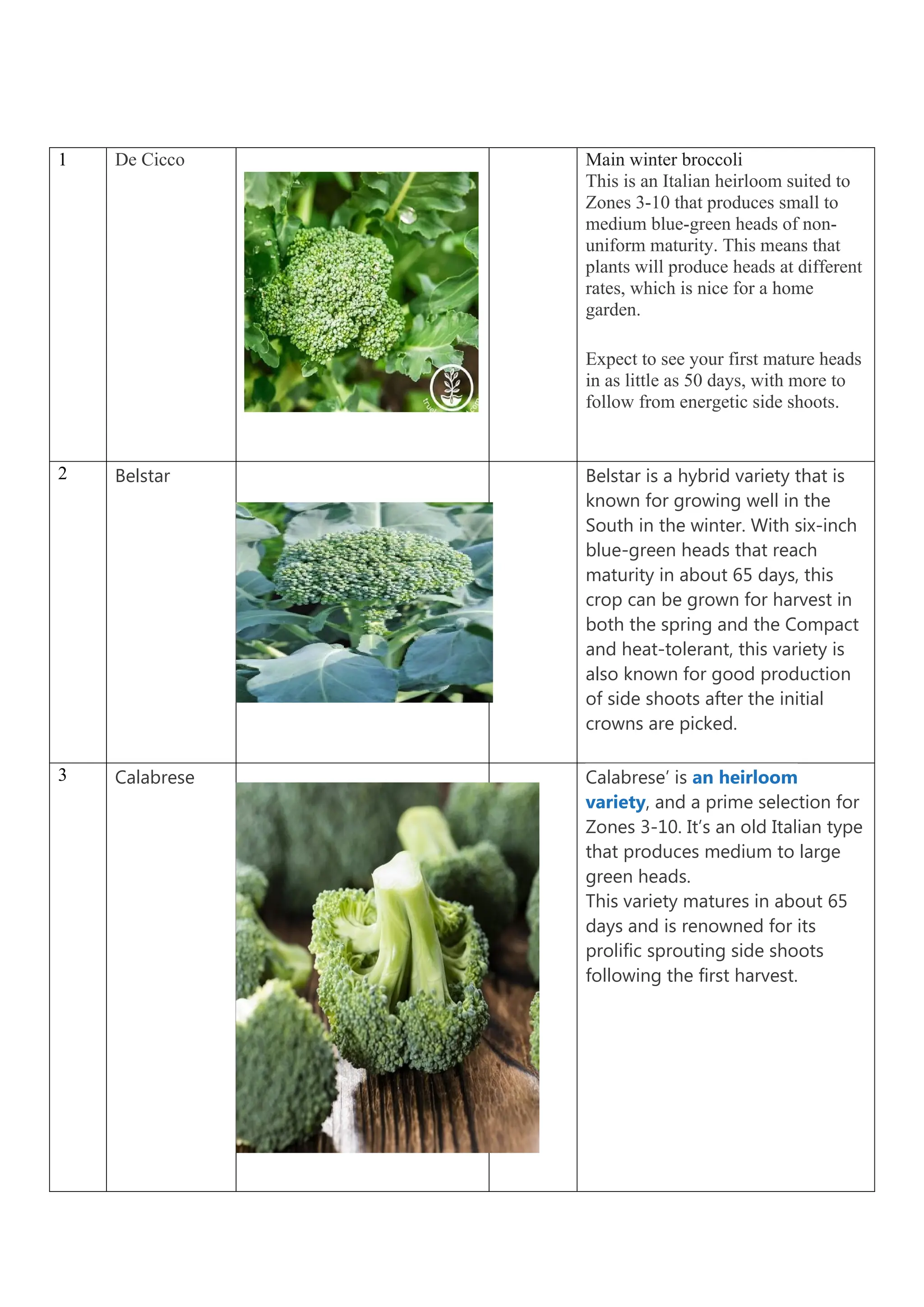 List of commercial varieties of varieties of broccoli | DOCX