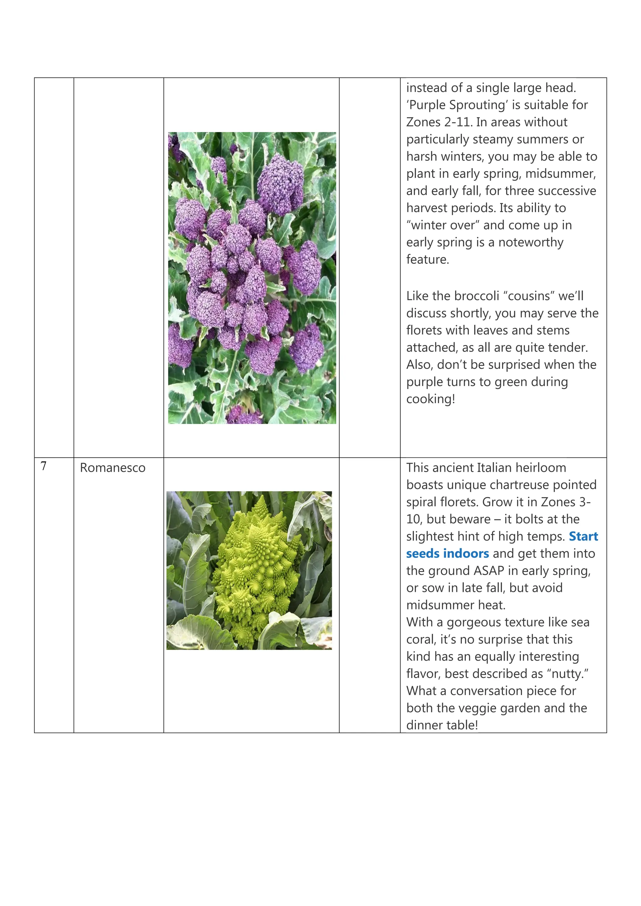 List of commercial varieties of varieties of broccoli | DOCX