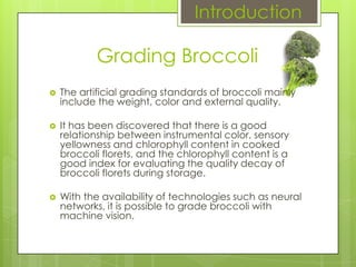 Broccoli Grading | PPTX