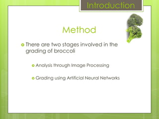 Broccoli Grading | PPTX