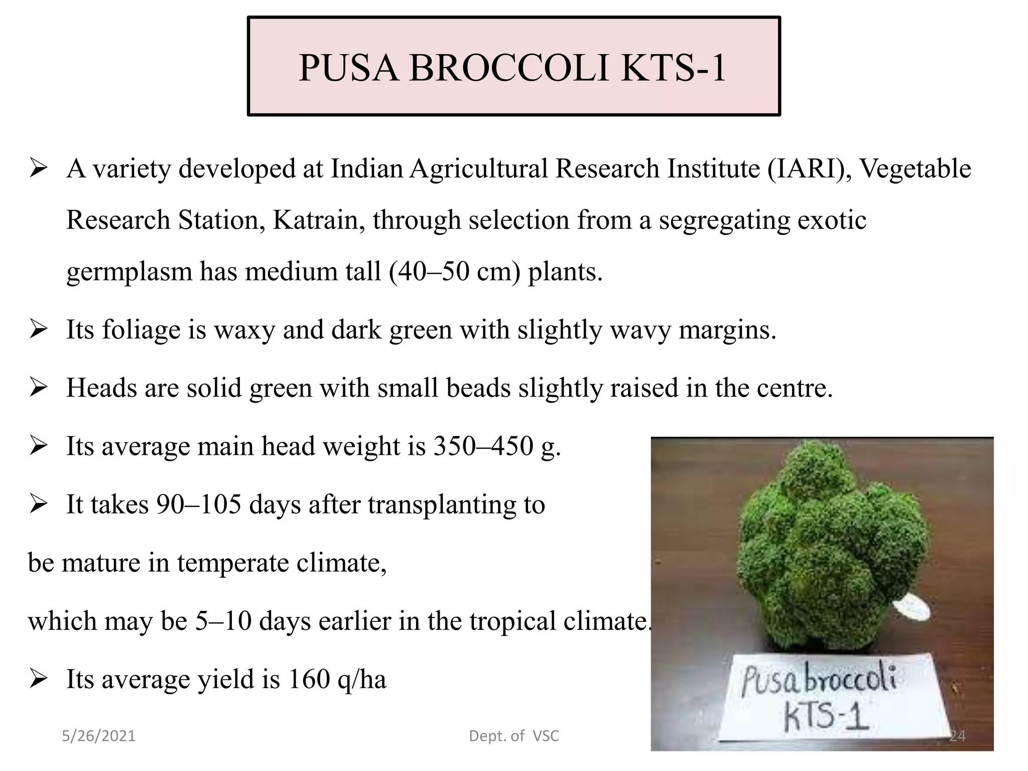 Production technology of broccoli | PPTX