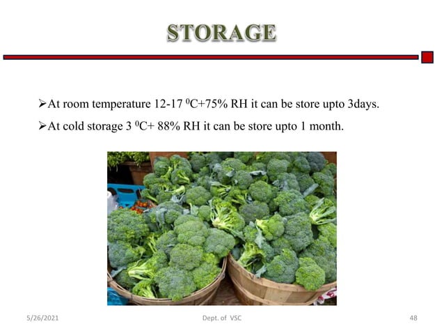 Production technology of broccoli | PPTX