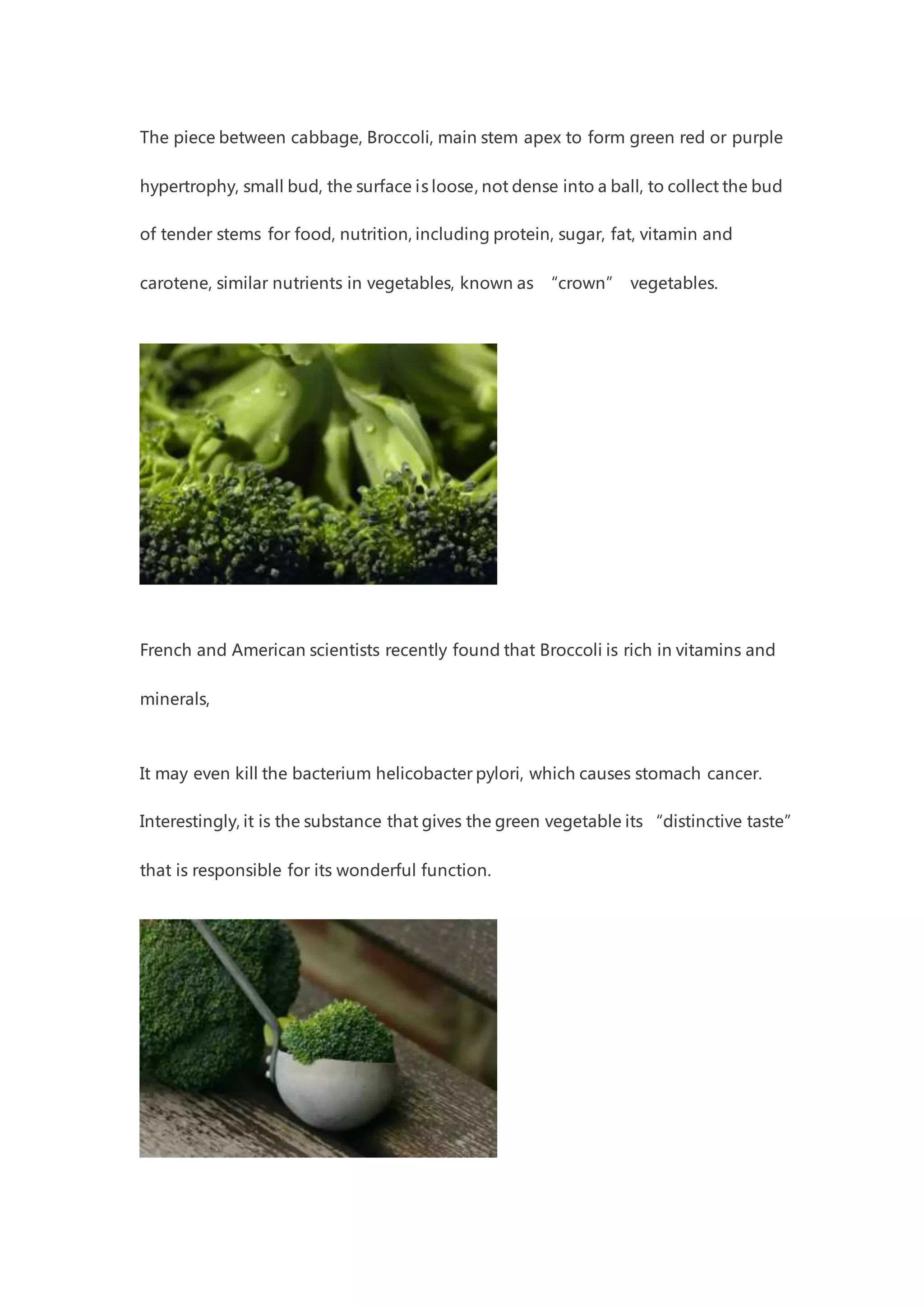 Broccoli：the best vegetable of your life | DOCX