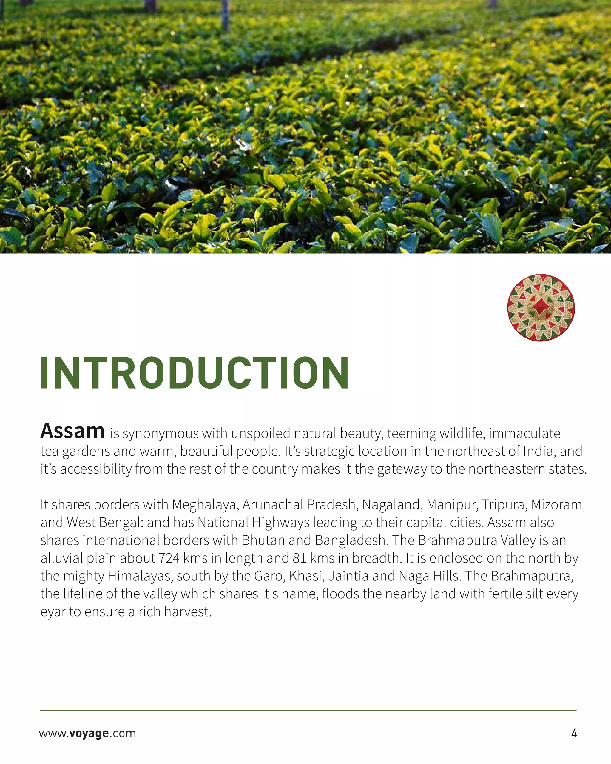 Assam Tourism | PDF
