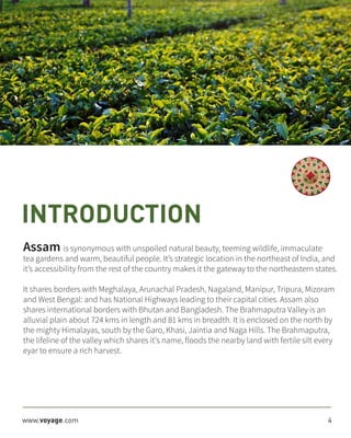 Assam Tourism | PDF