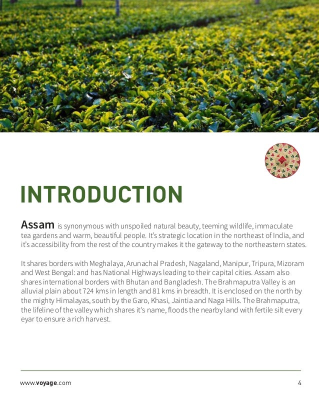 Assam Tourism