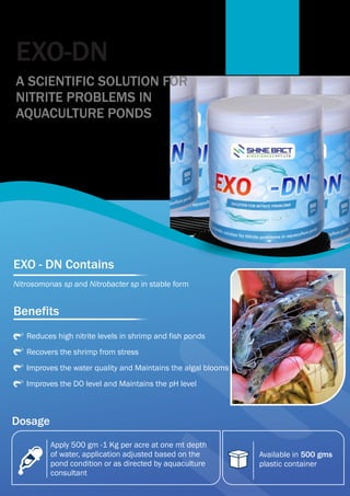 ShineBact Brochure Design | PDF