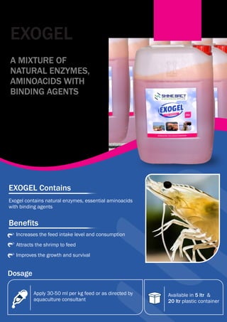 ShineBact Brochure Design | PDF