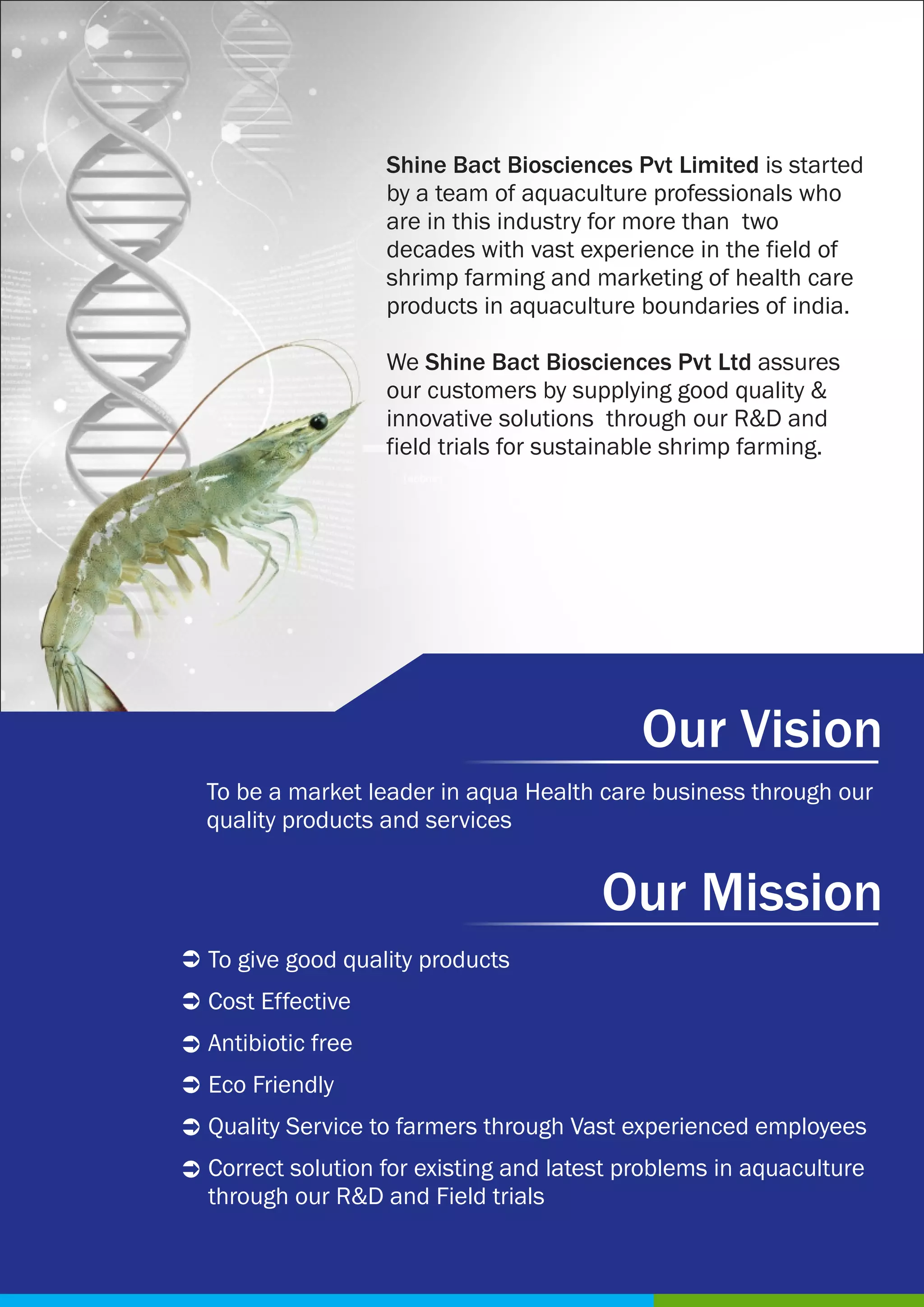 Brochure Design | Company Profile Design | Brochure Design in Chennai | PDF