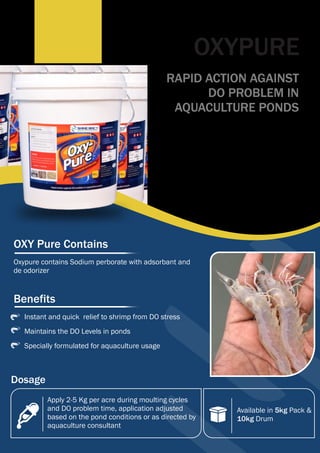 Brochure Design | Company Profile Design | Brochure Design in Chennai | PDF