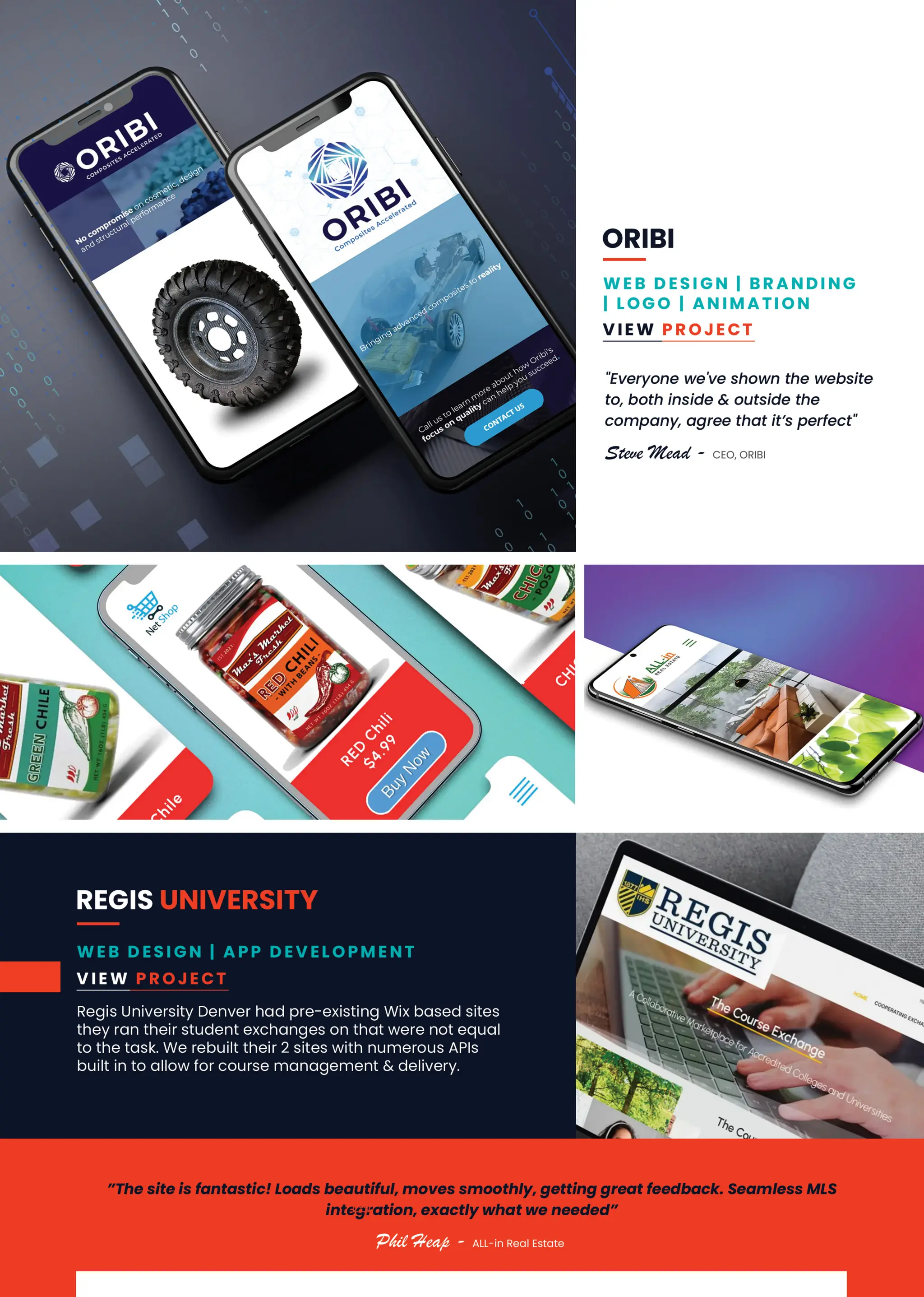 Denver Web Design brochure for public viewing | PDF