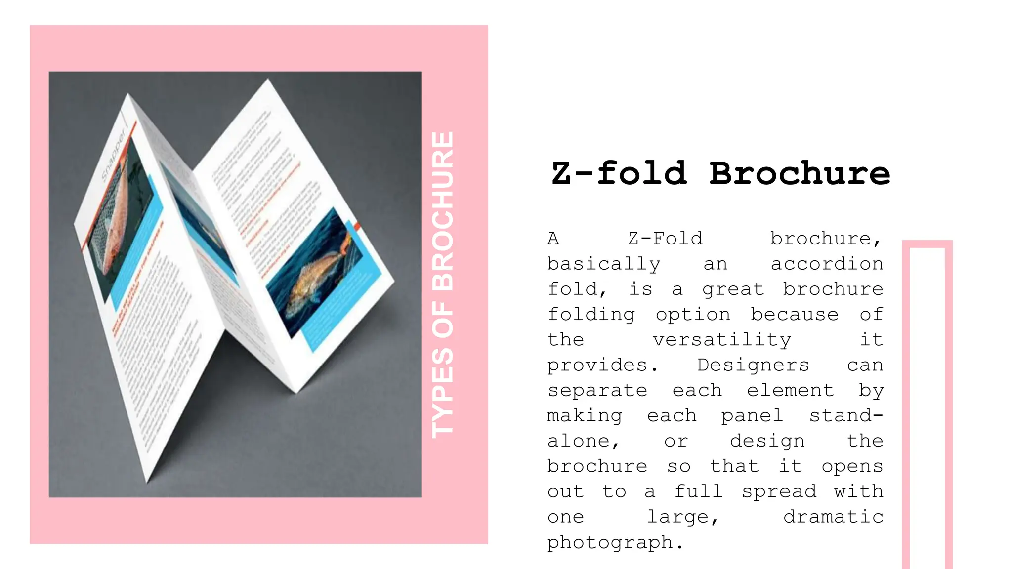 how to make a brochure powerpoint presentation | PPTX