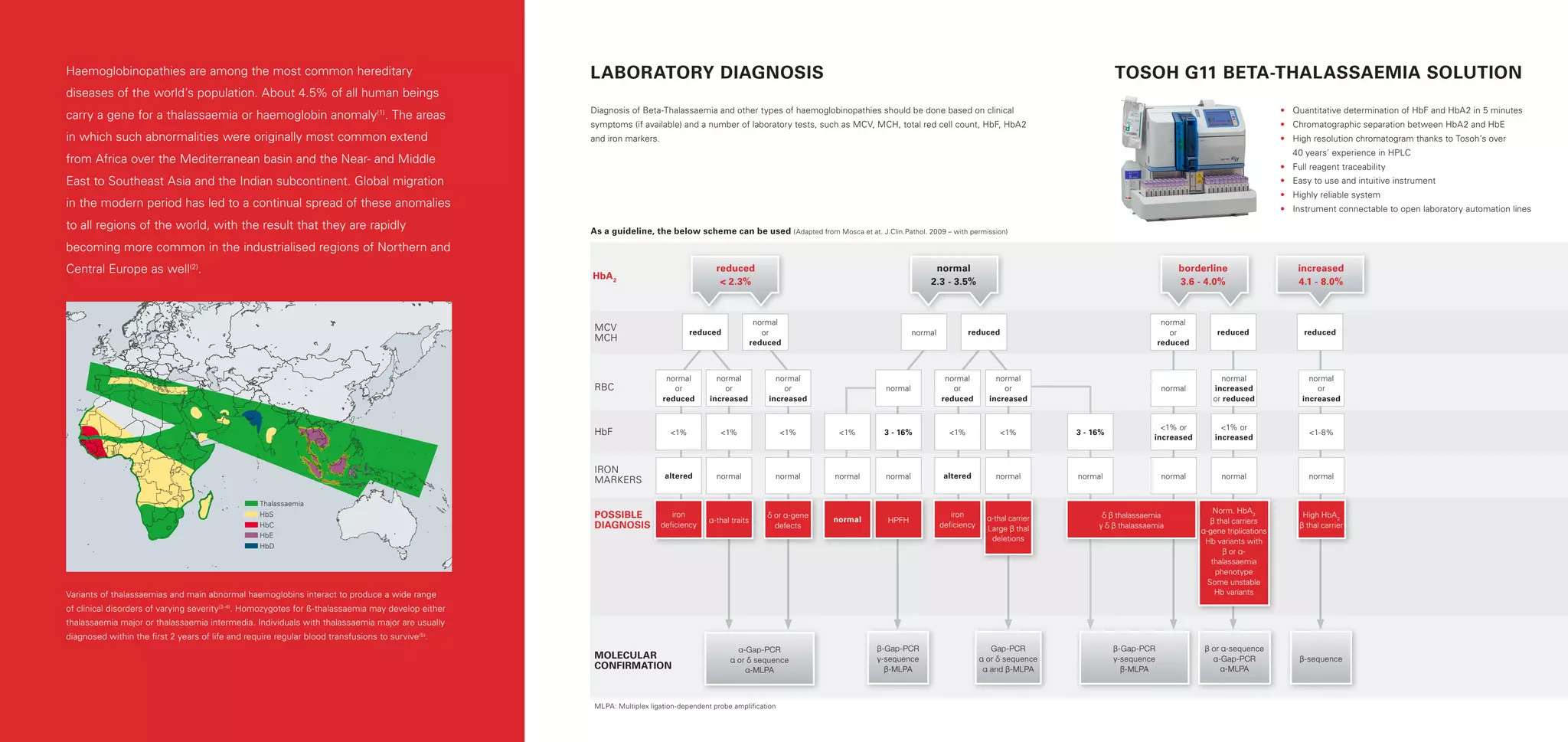 Brochure-G11-B-Thal-EN.pdf