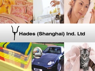 Brochure hades | PDF