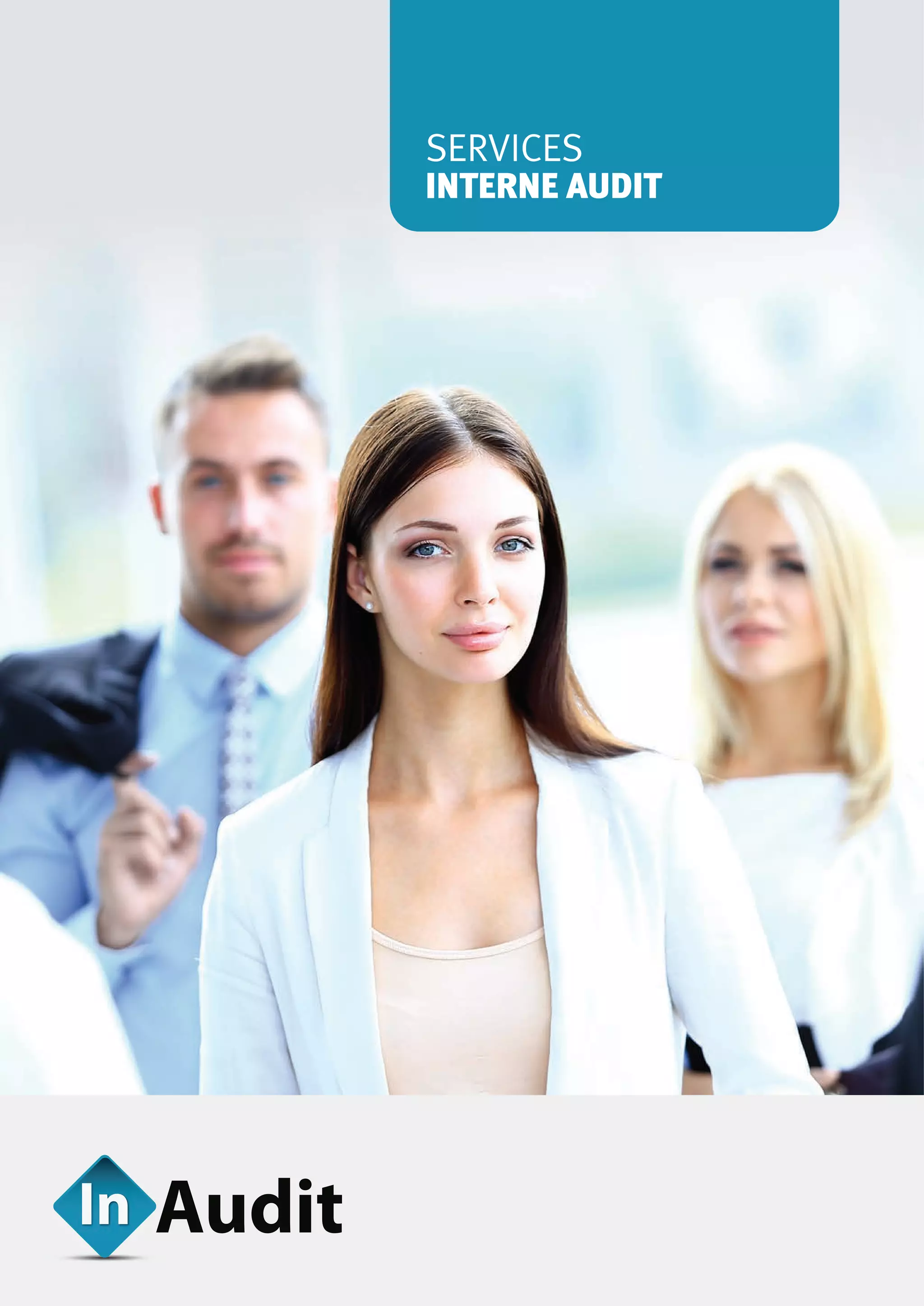 Interne Audit Services | PDF