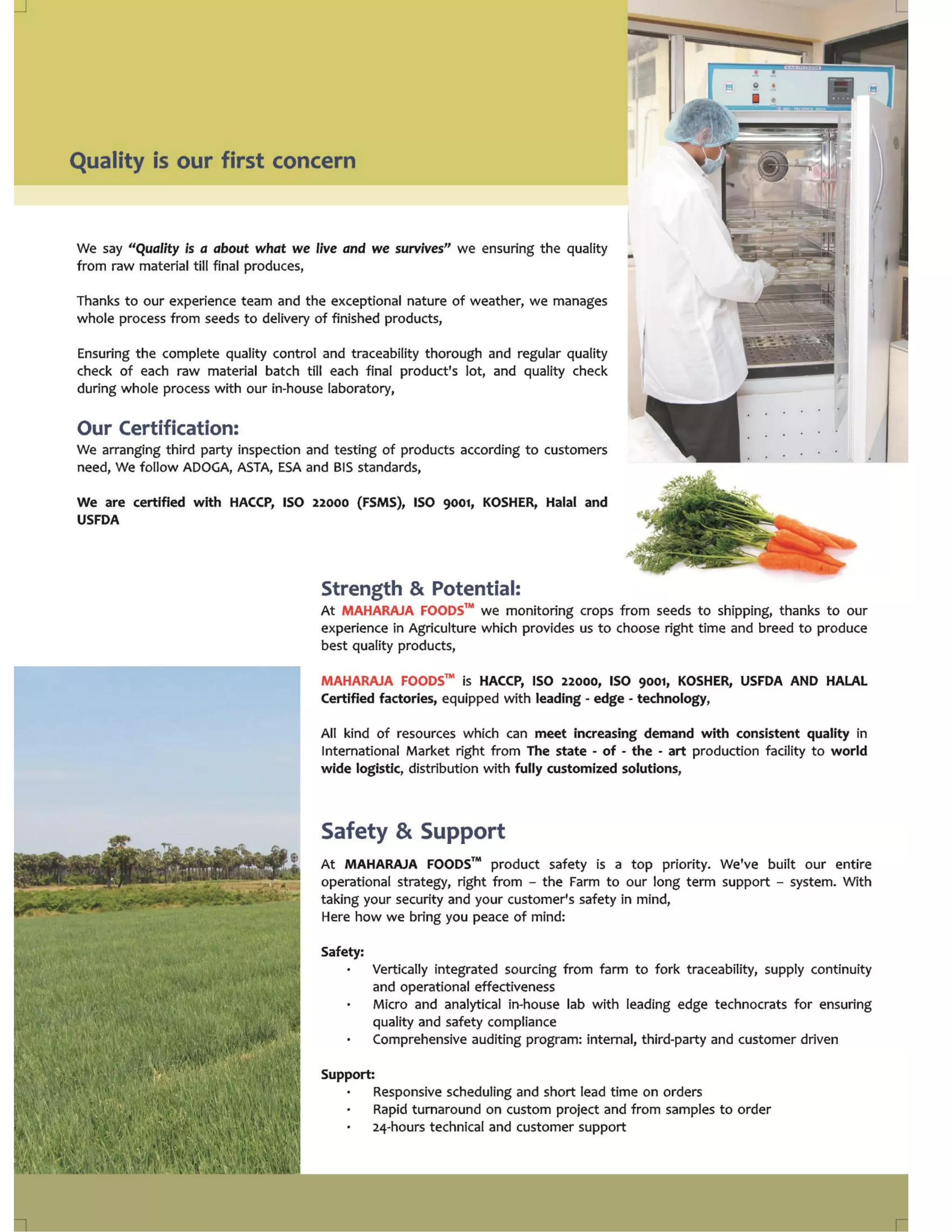 Brochure Maharaja Dehydration | PDF