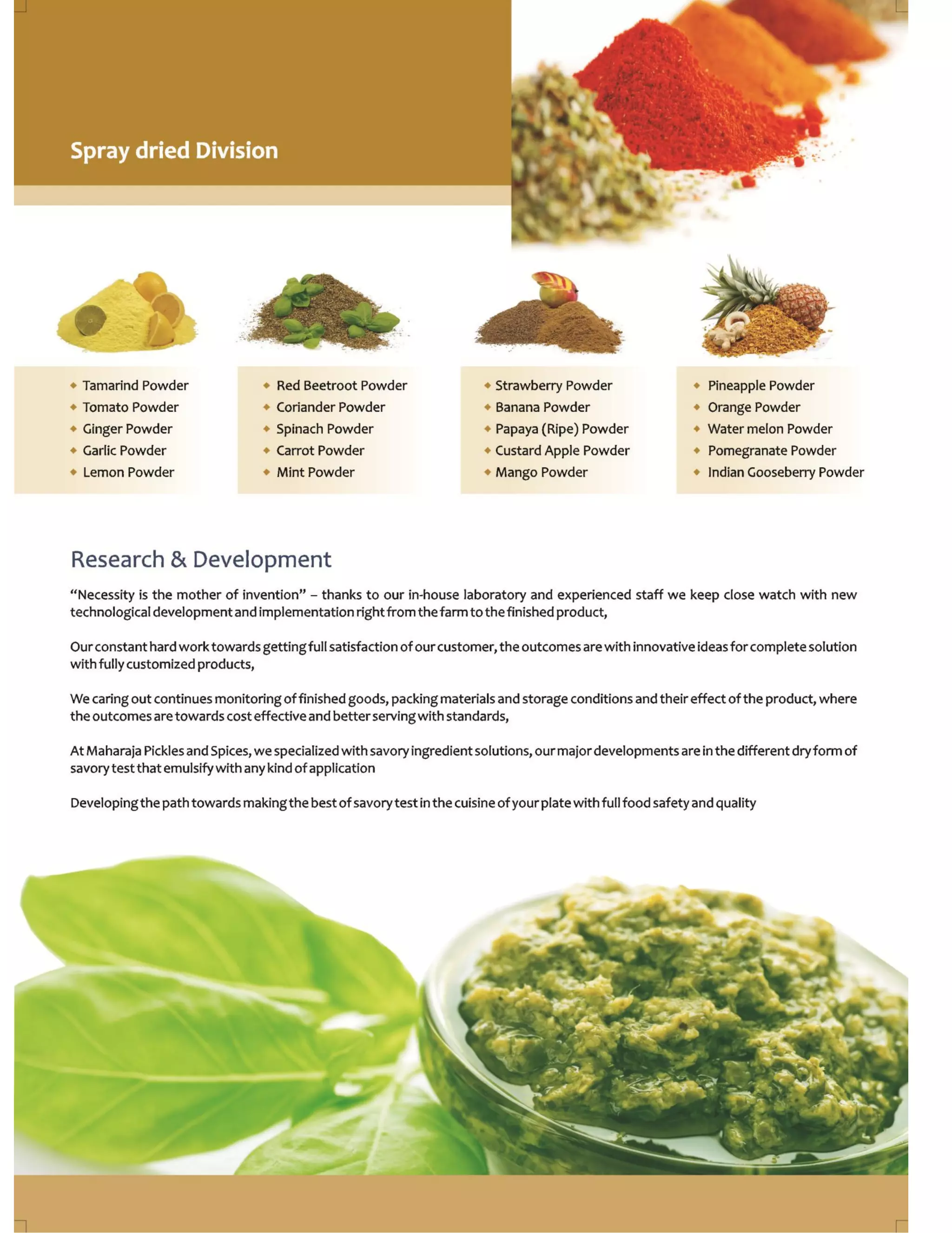 Brochure Maharaja Dehydration | PDF