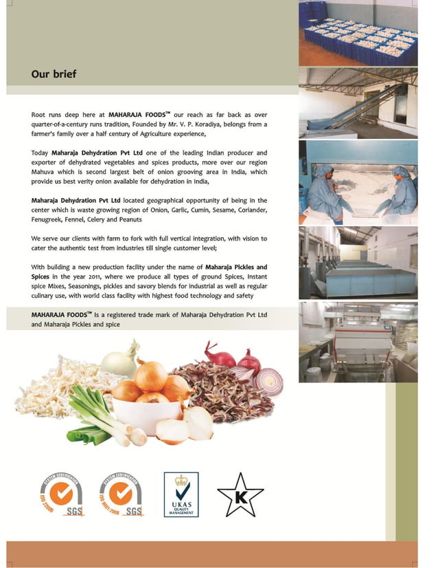 Brochure Maharaja Dehydration | PDF