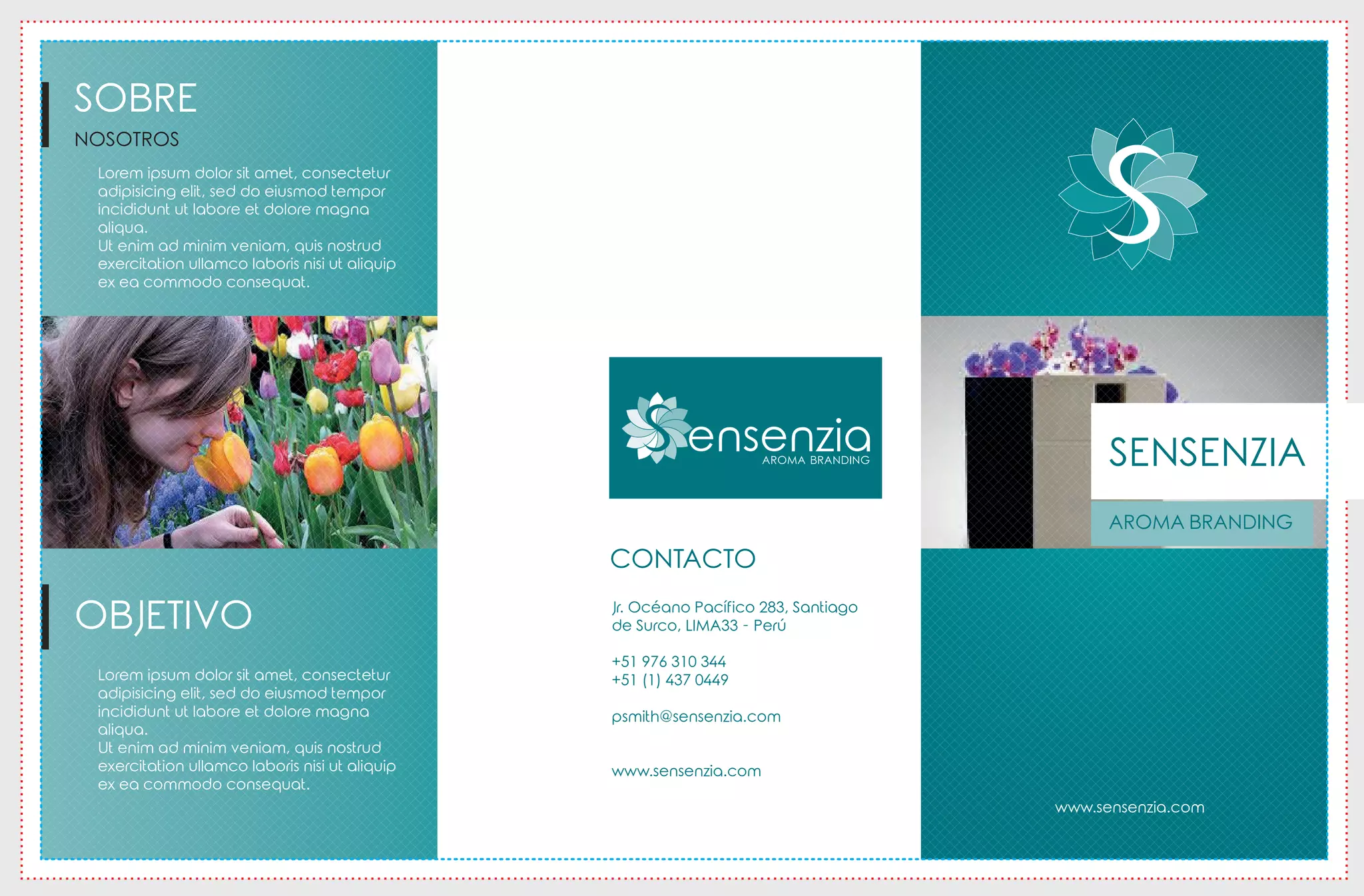 Modelo de Brochure | PDF