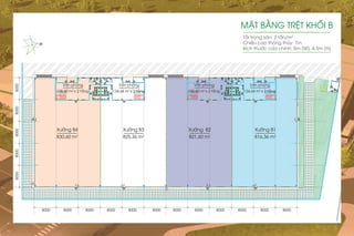 Brochure t4-compound-factory ver-tv | PDF