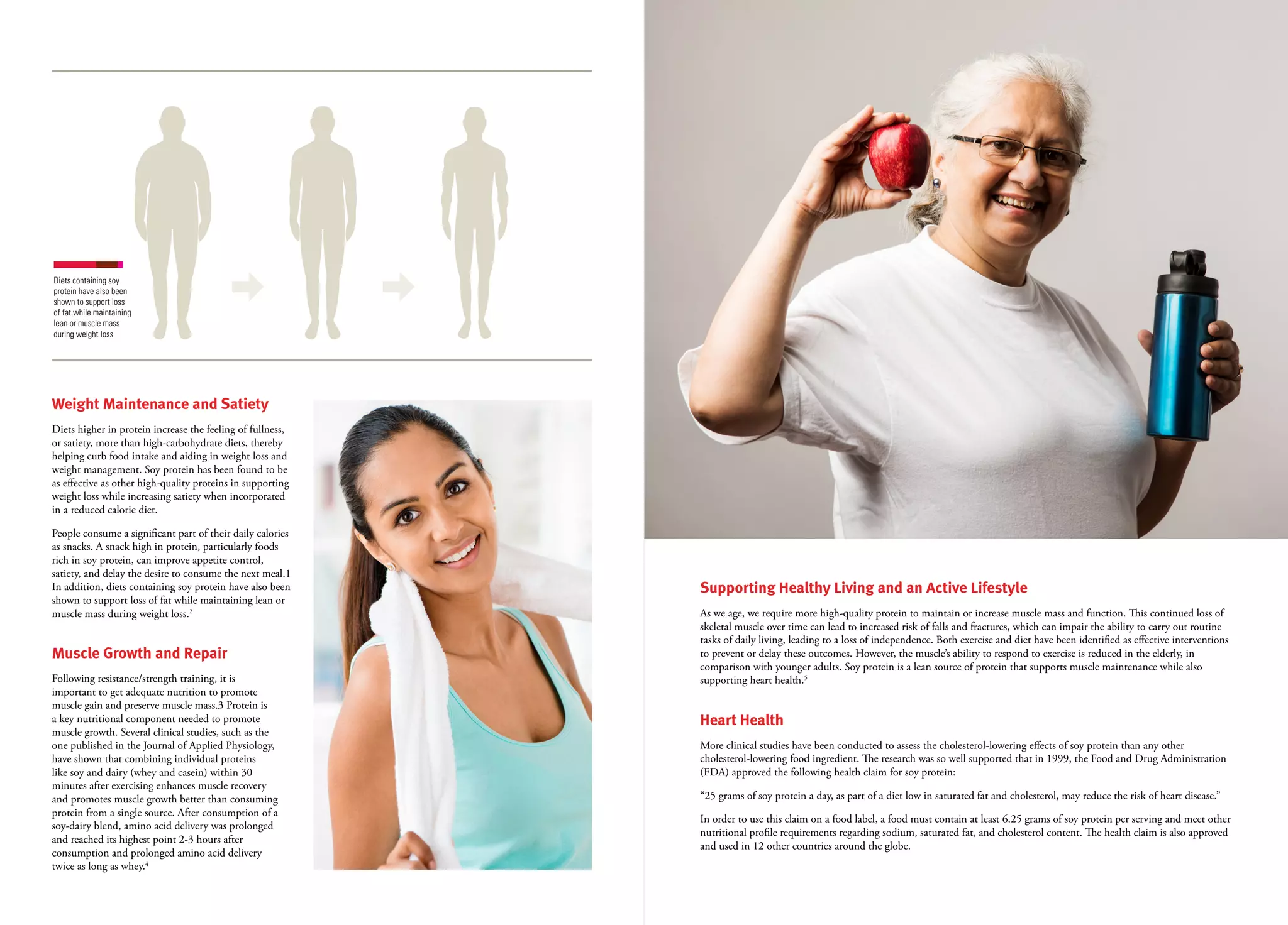 The Power of Soy Protein | PDF