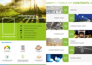 Lighting Manufacture Brochure Design | PDF