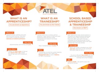Apprentice and Trainee Options | PPT