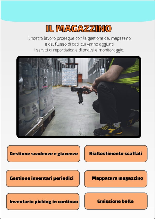 Il Mondo srl presentazione | PDF