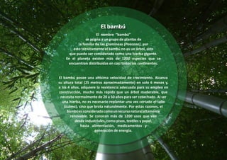 Construcción & Diseño con Bambú en Perú | PDF
