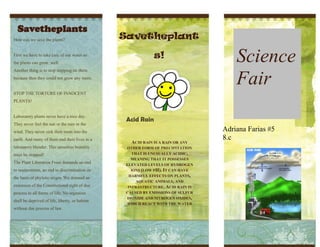 Brochure adriana | PPT