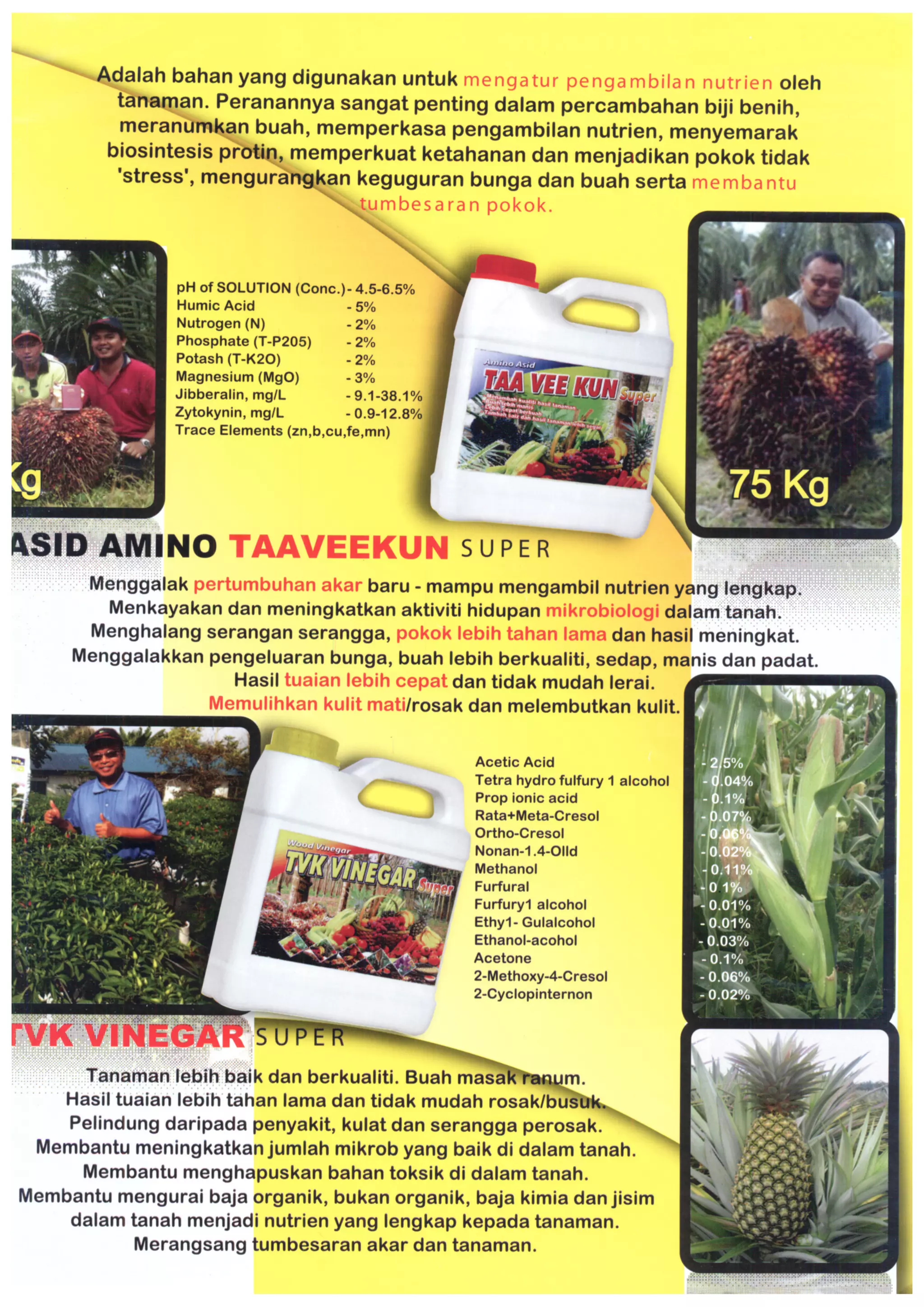 Brochure baja taaveekun 2 CASB | PDF