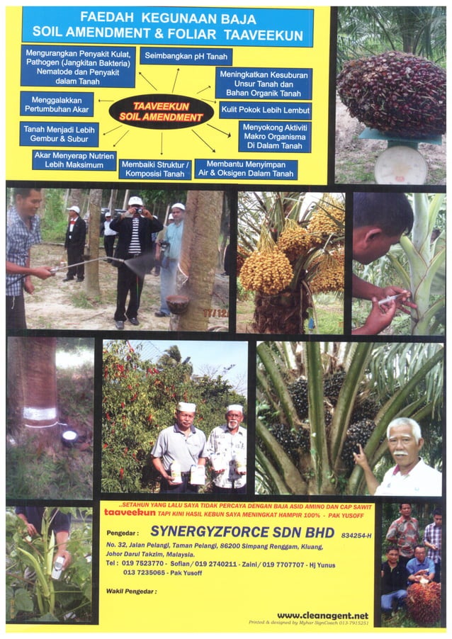 Brochure baja taaveekun 2 CASB | PDF