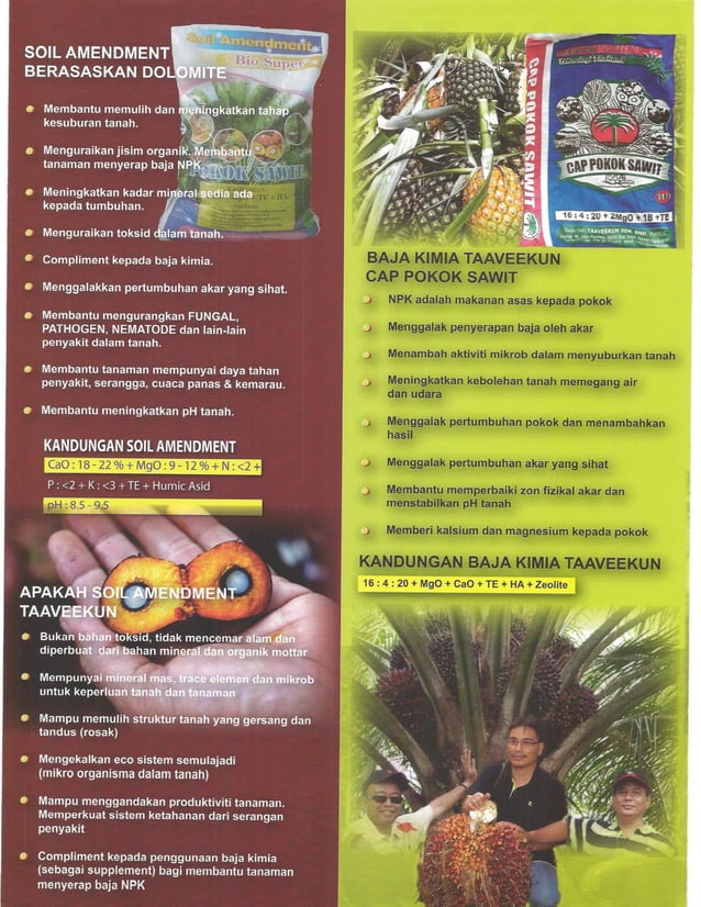 Brochure baja taaveekun 3 CASB | PDF